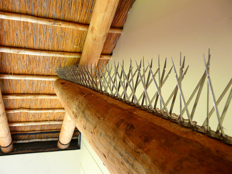 Bird Deterrent Specialists | Products