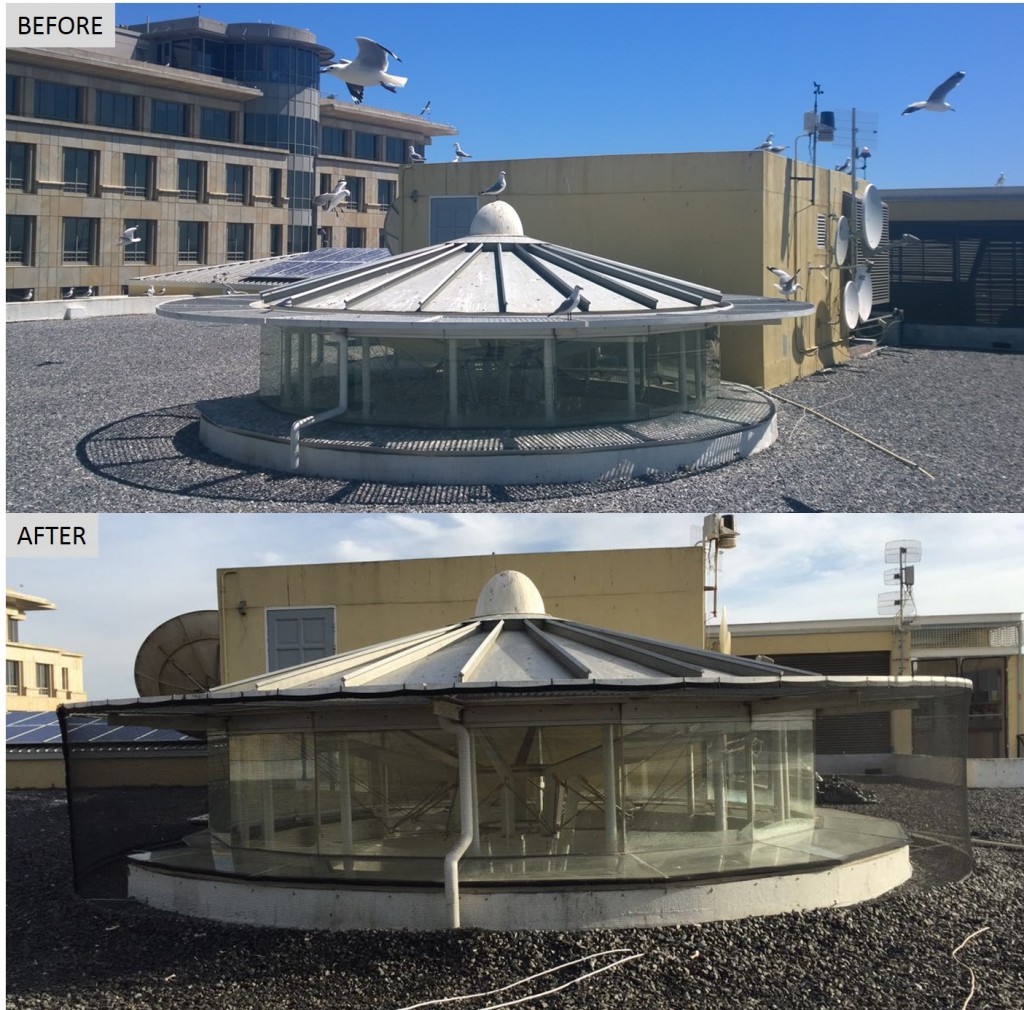 V&A Waterfront – Clock Tower Building - Bird Deterrent Specialists