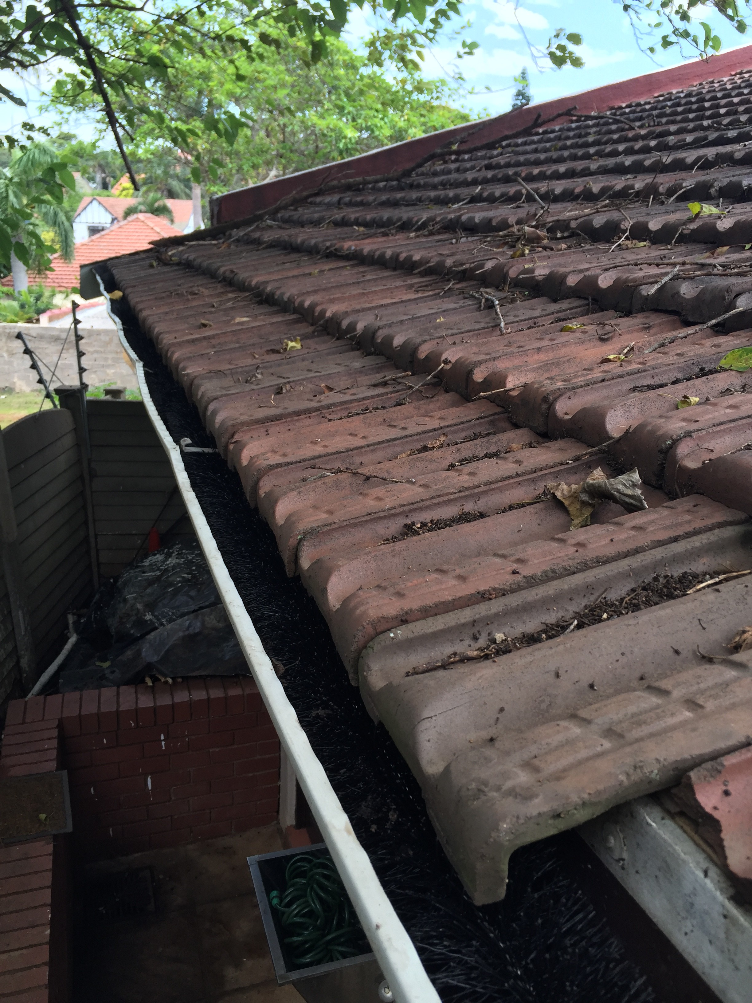 - Bird Deterrent Specialists
