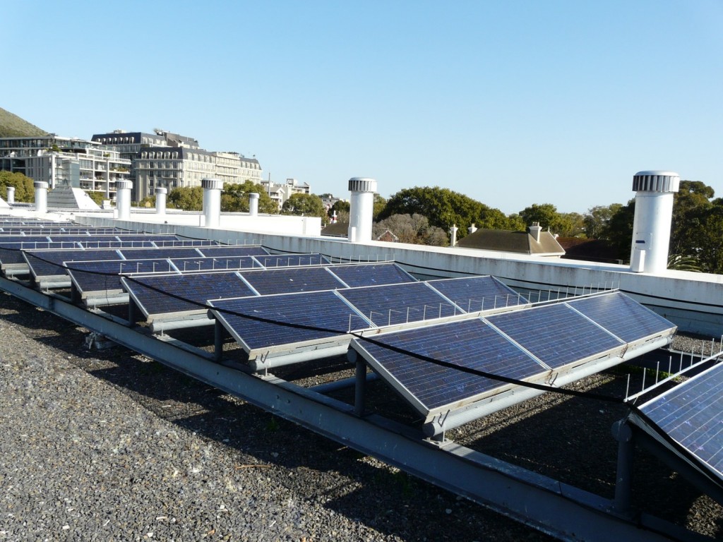 Bird Proofing of Solar Panels - Bird Deterrent Specialists